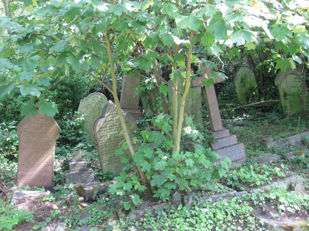 Nunhead Cemetery | A Visitors' Guide by Tom Fogarty