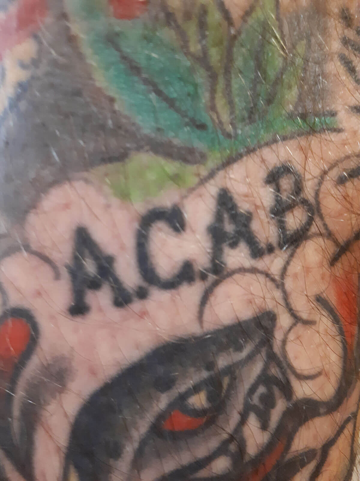 The Ultimate List of Tattoo Adventures: The Artists, the Ink, and the ...