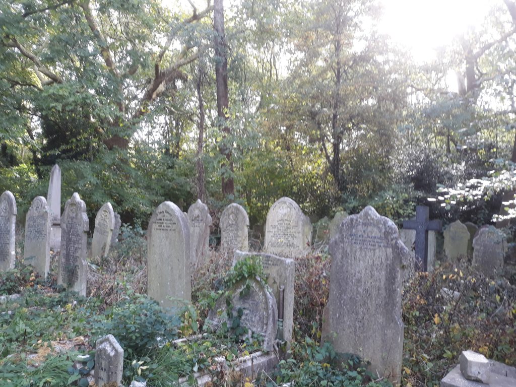 Tower Hamlets Cemetery | A Visitors' Guide by Tom Fogarty