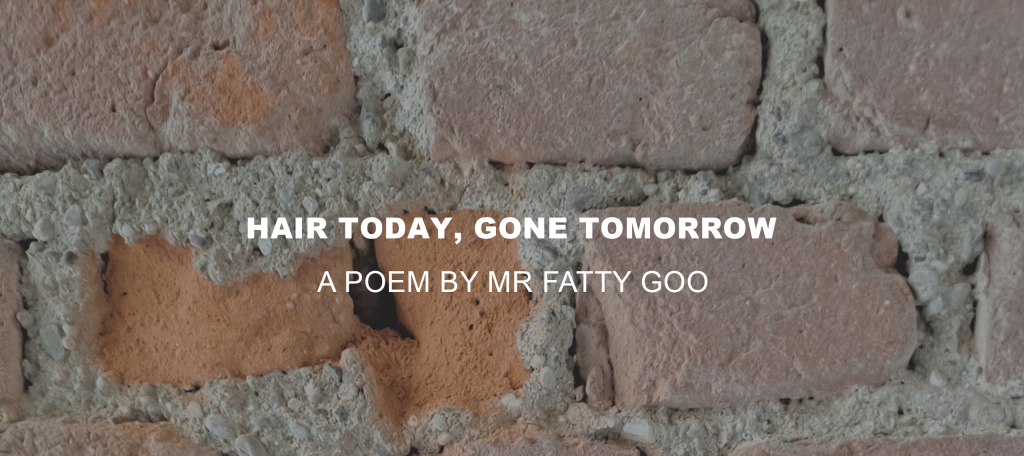 Hair Today, Gone Tomorrow | Mr Fatty Goo Poem